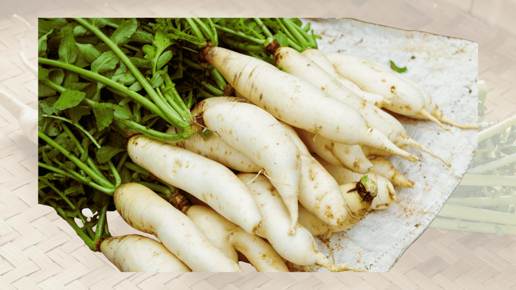 Top Companion Plants for Beets and What Not to Grow Nearby - My Earth ...