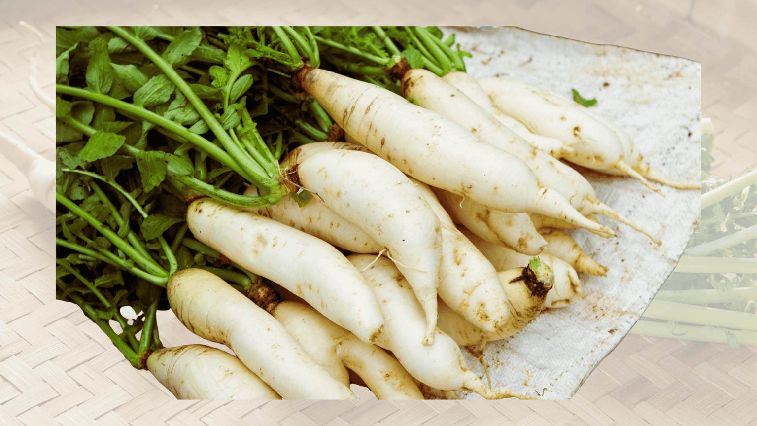 Top Companion Plants for Beets and What Not to Grow Nearby - My Earth ...